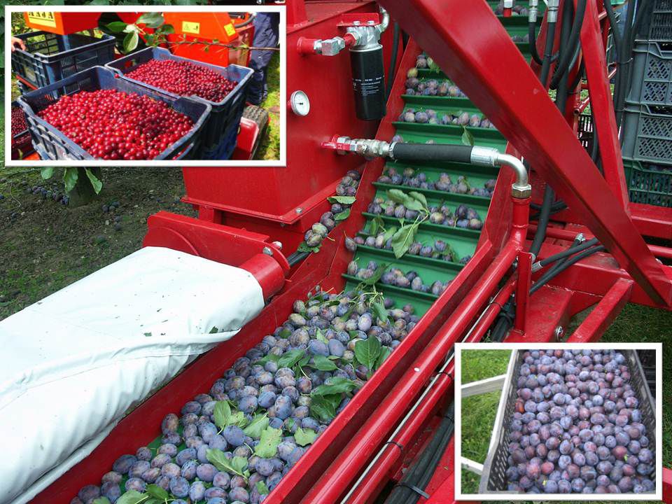 Trailed trunk shaker - MAJA - Weremczuk FMR Sp. z o.o. - hydraulic ...