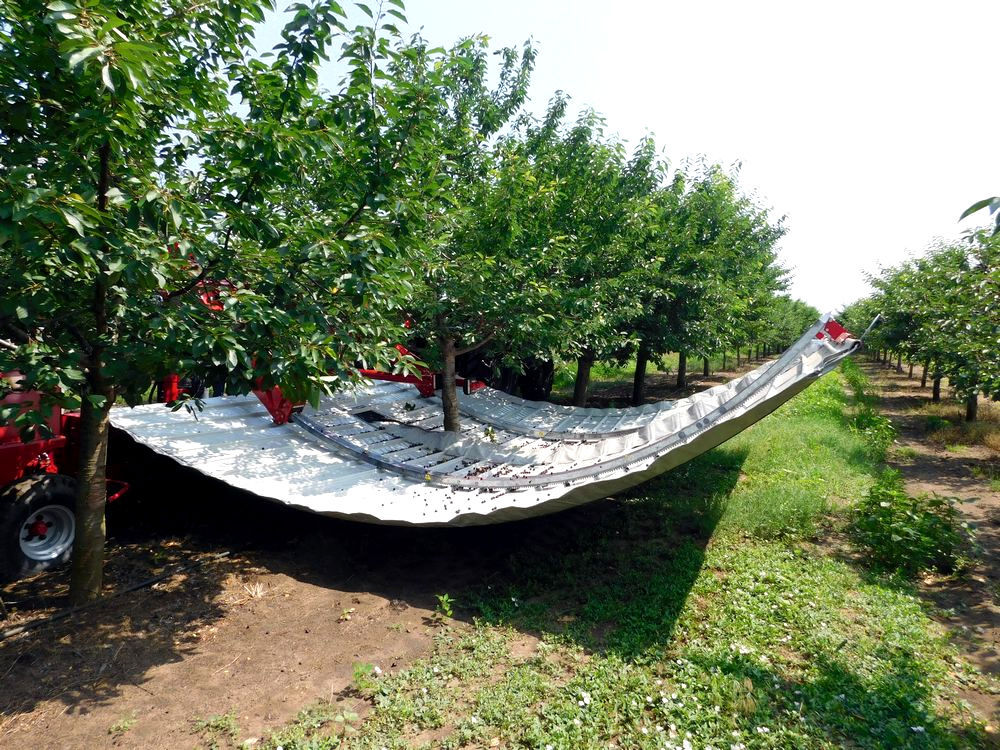 Fruit tree shaker - MAJA AUTOMATIC-LK - Weremczuk FMR Sp. z o.o ...