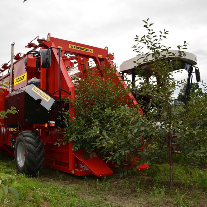 Plum harvester machine - FELIX - Weremczuk FMR Sp. z o.o. - self ...