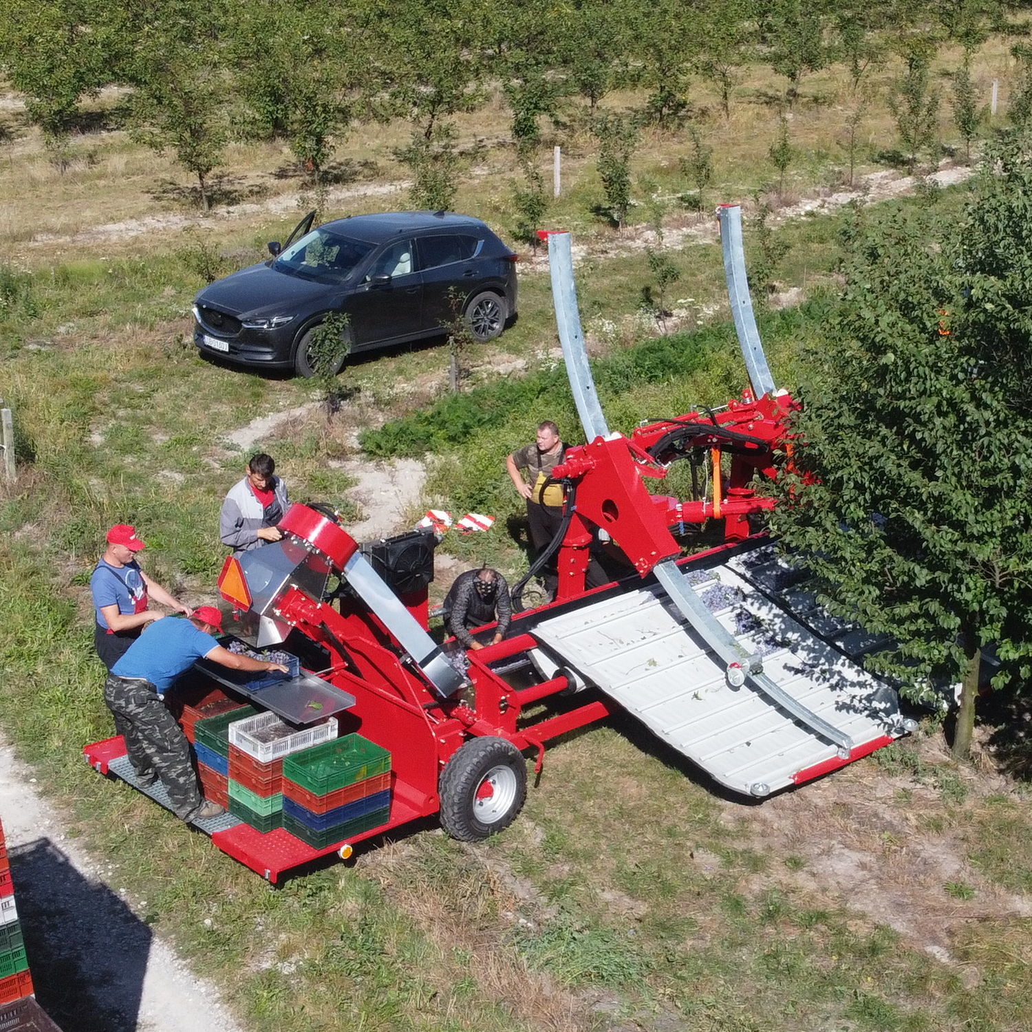 Fruit tree shaker - MAJA AUTOMATIC LT - Weremczuk FMR Sp. z o.o. - nuts ...