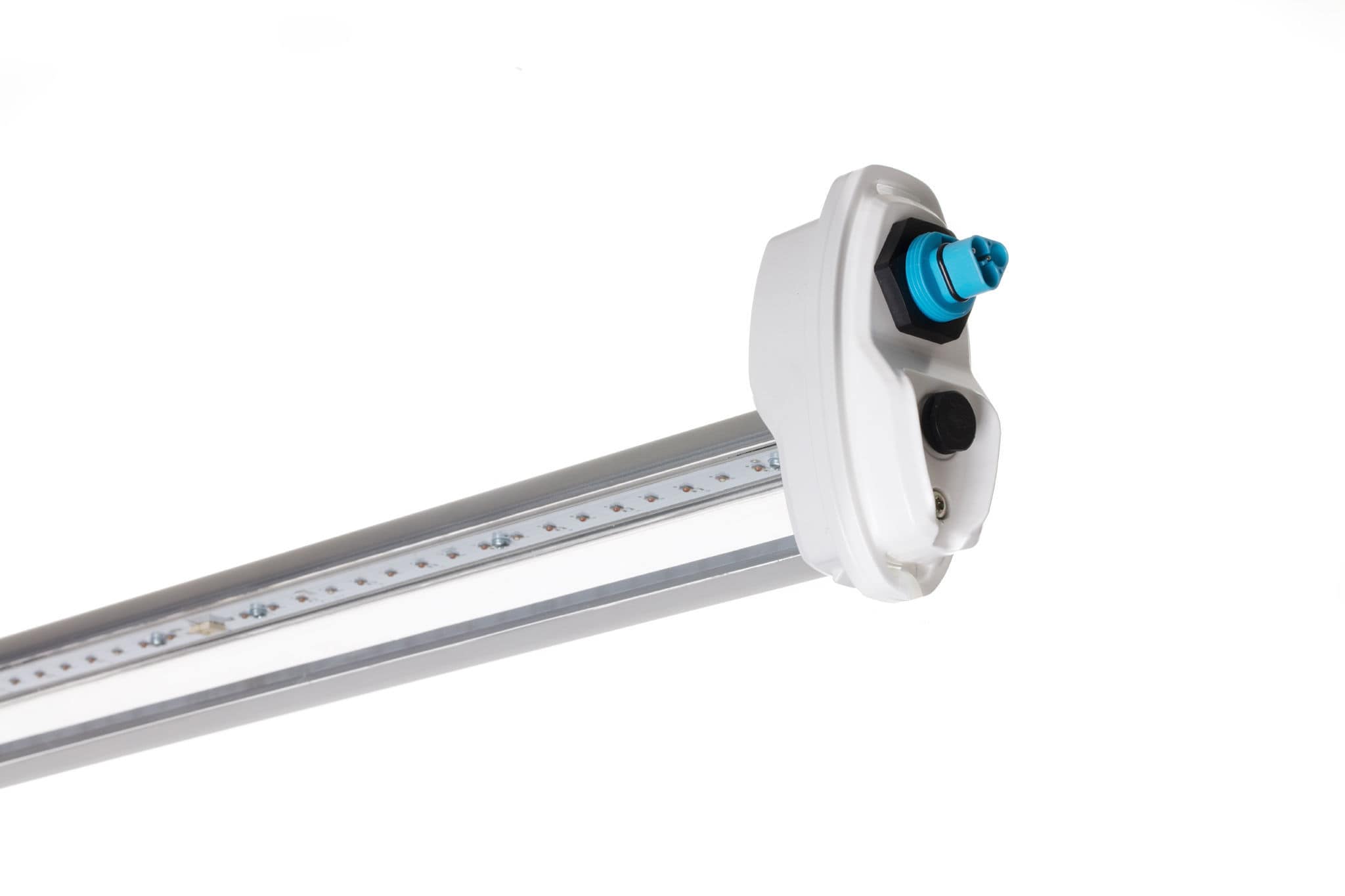 Greenhouse light - HORTILED Inter - Hortilux Schréder - LED