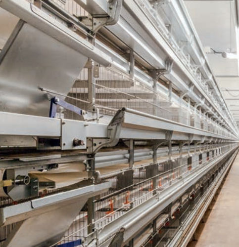 Layer hen nesting system for breeding birds - UNIVENT Starter - Big ...