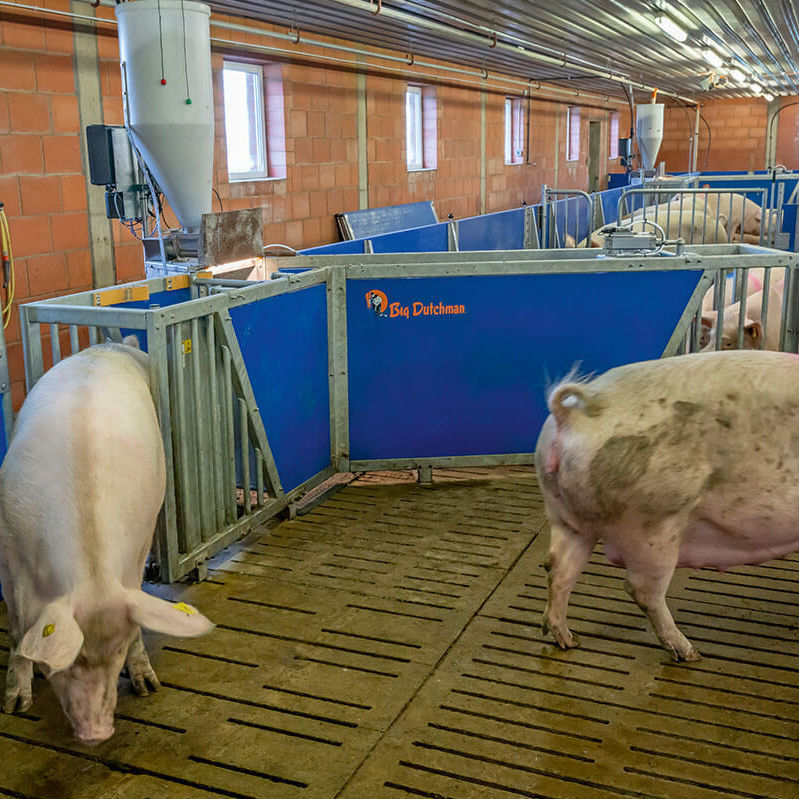 Feeding equipement with management software - CallMatic 3 pro - Big ...