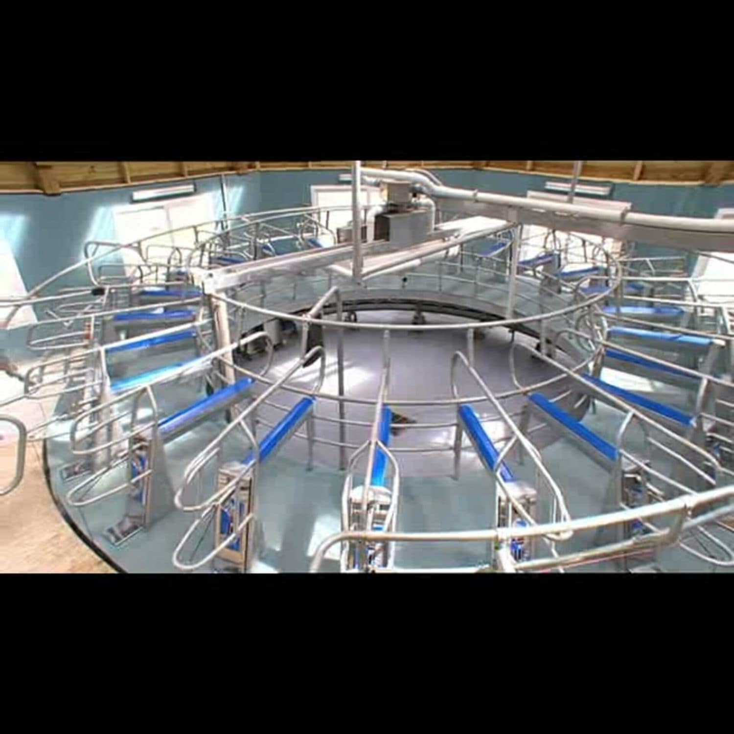 Cow milking parlour - XPEDIA 360EX - BouMatic - rotary