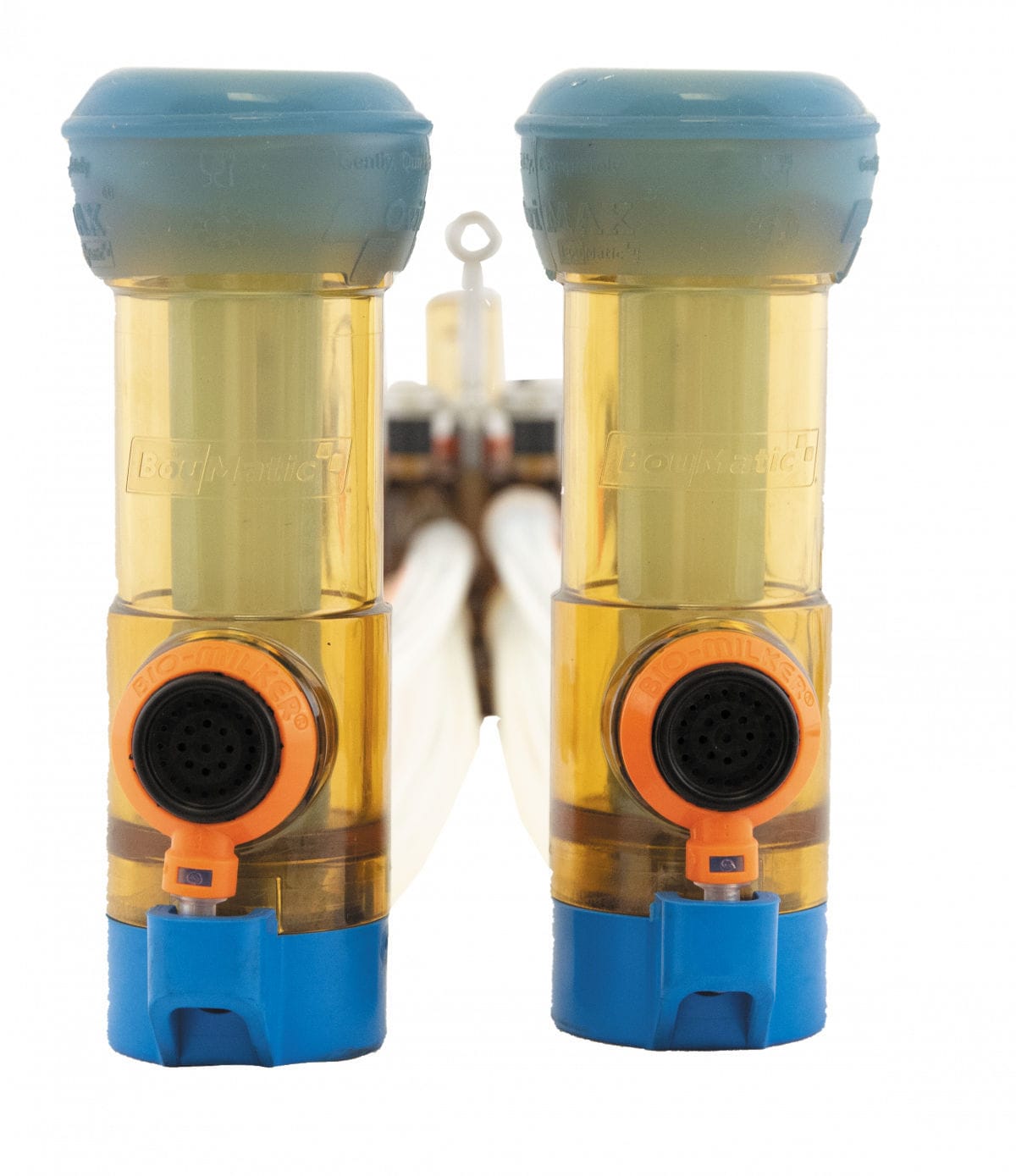 Sheep milking cluster - OVIMAX - BouMatic - 2 teat cups