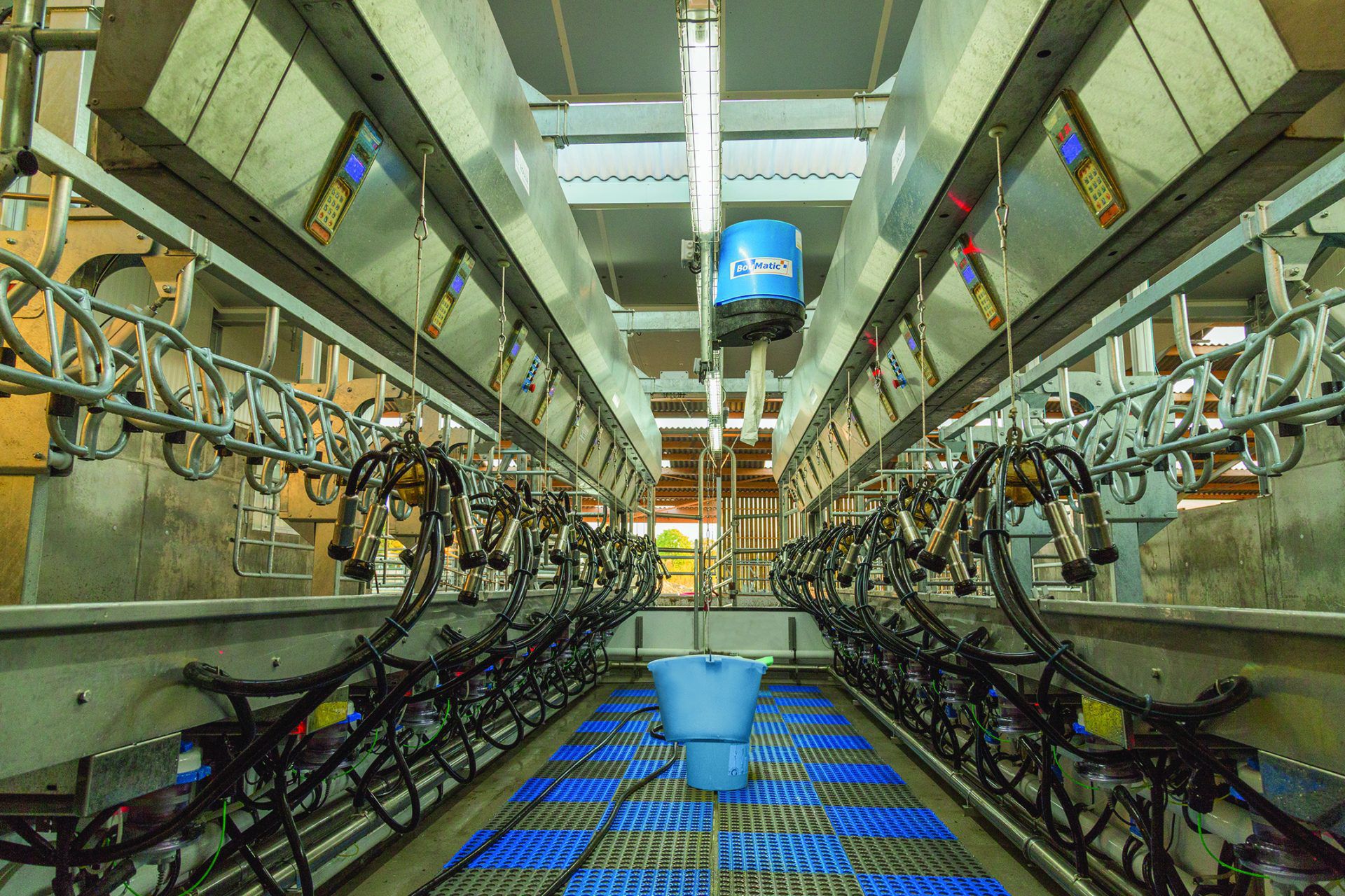 Cow milking parlour - SMARTWAY 90 - BouMatic - parallel / rapid exit