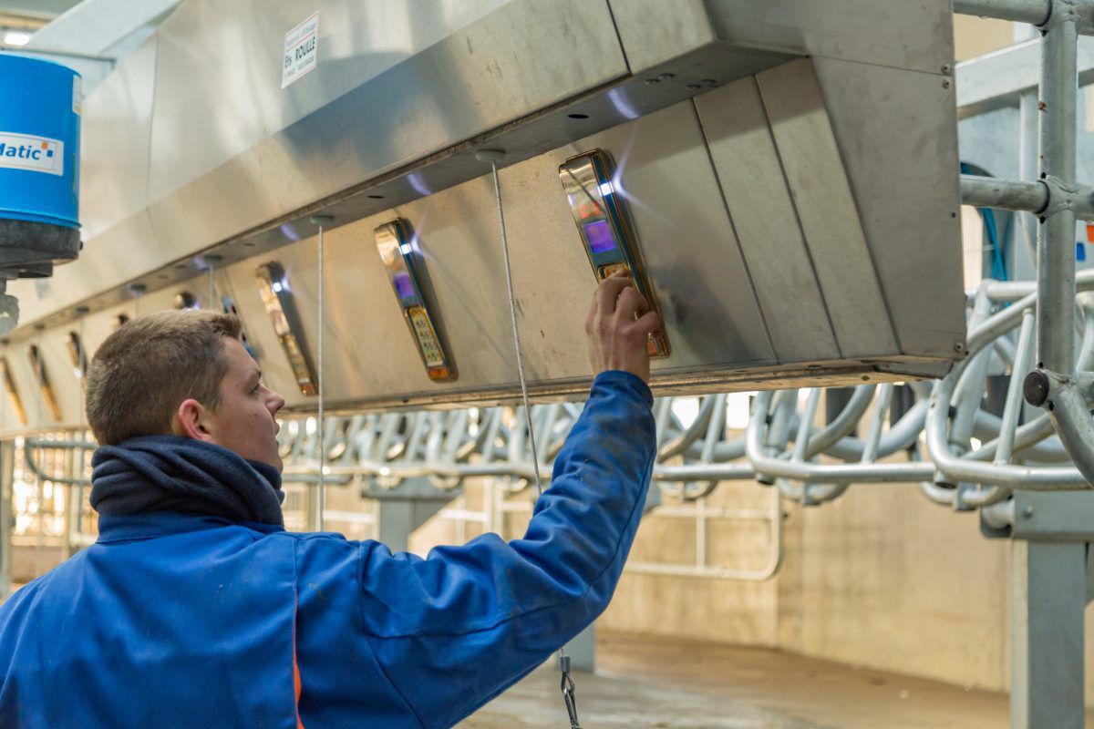 Cow management system - TOUCHPOINT™ - BouMatic - milking / real-time