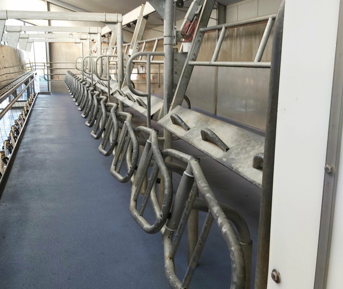 Parallel milking parlour - XPRESSWAY 3.0 - Boumatic Robotics B.V. - for ...
