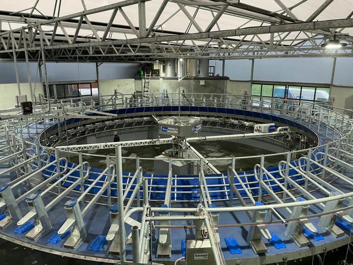 Cow milking parlour - XCALIBUR 360EX 2.0 - Boumatic Robotics B.V. - rotary