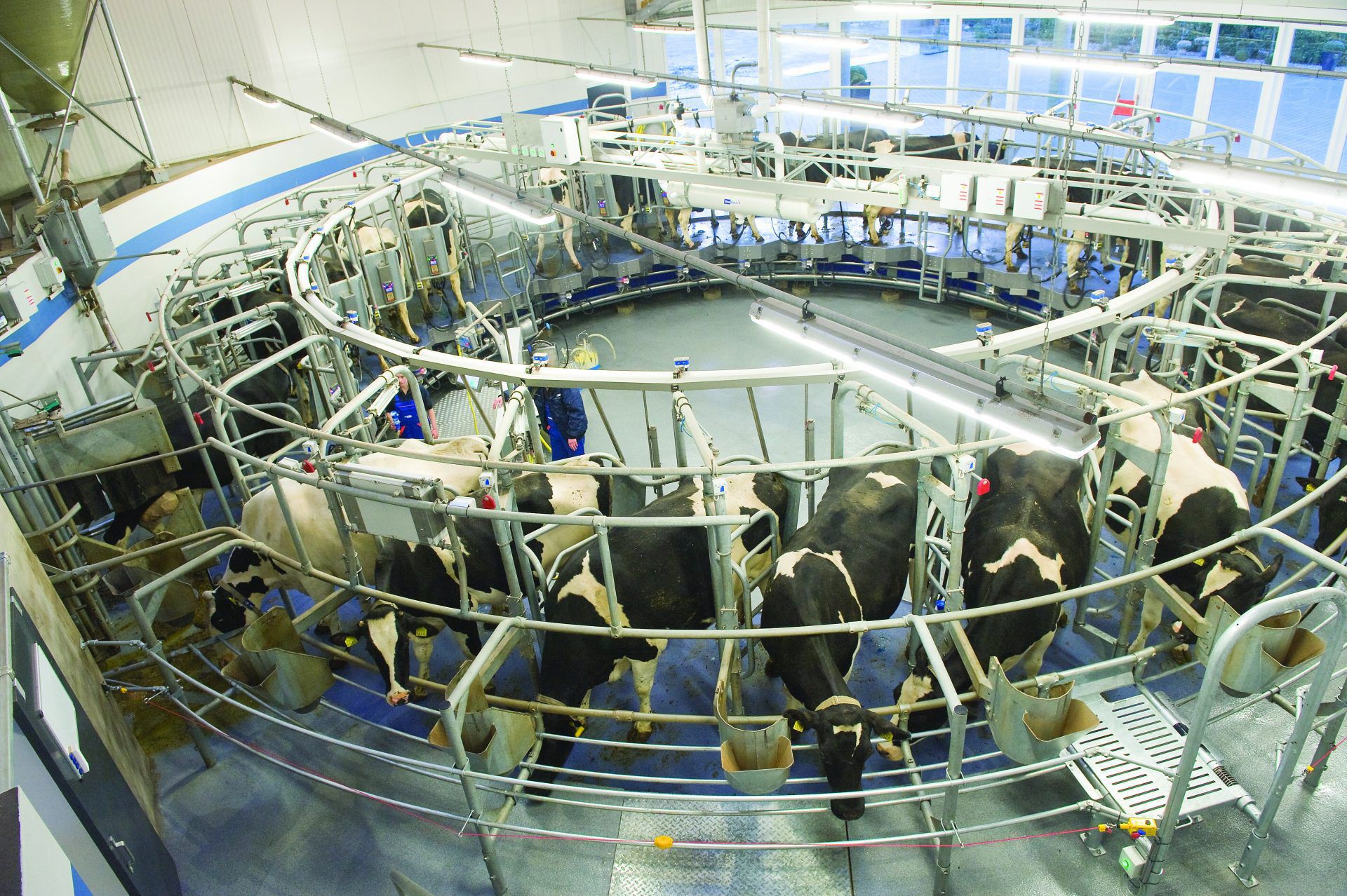 Cow milking parlor - XPEDIA 360IX - Boumatic Robotics B.V. - parallel ...