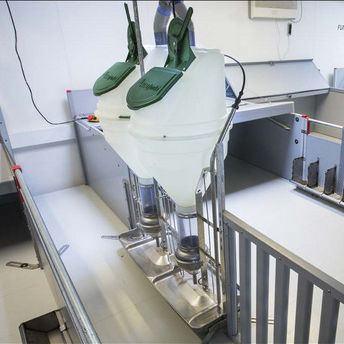 Pig hopper feeder - FUNKIMAT - ACO Funki A/S - single access