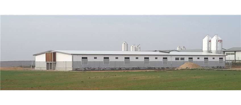 Pig barn ventilation system - AEROSYSTEM ROTI, C.B.