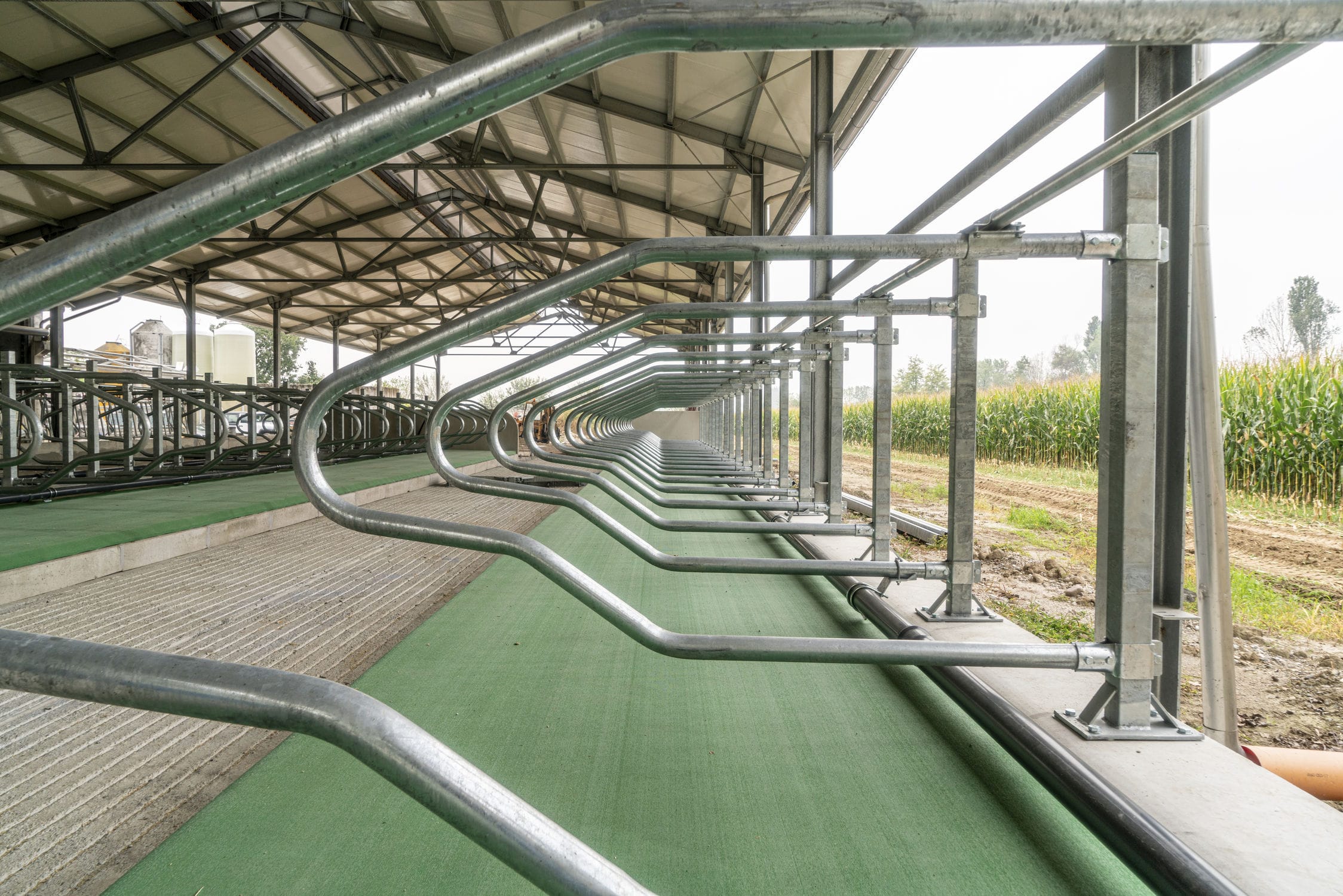 Latex cow mattress - AGRICOW - for cubicles