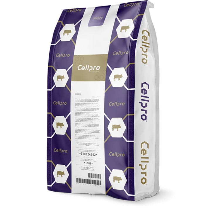 Animal feed supplement - Cellpro - AB Neo - for pigs / protein / dry