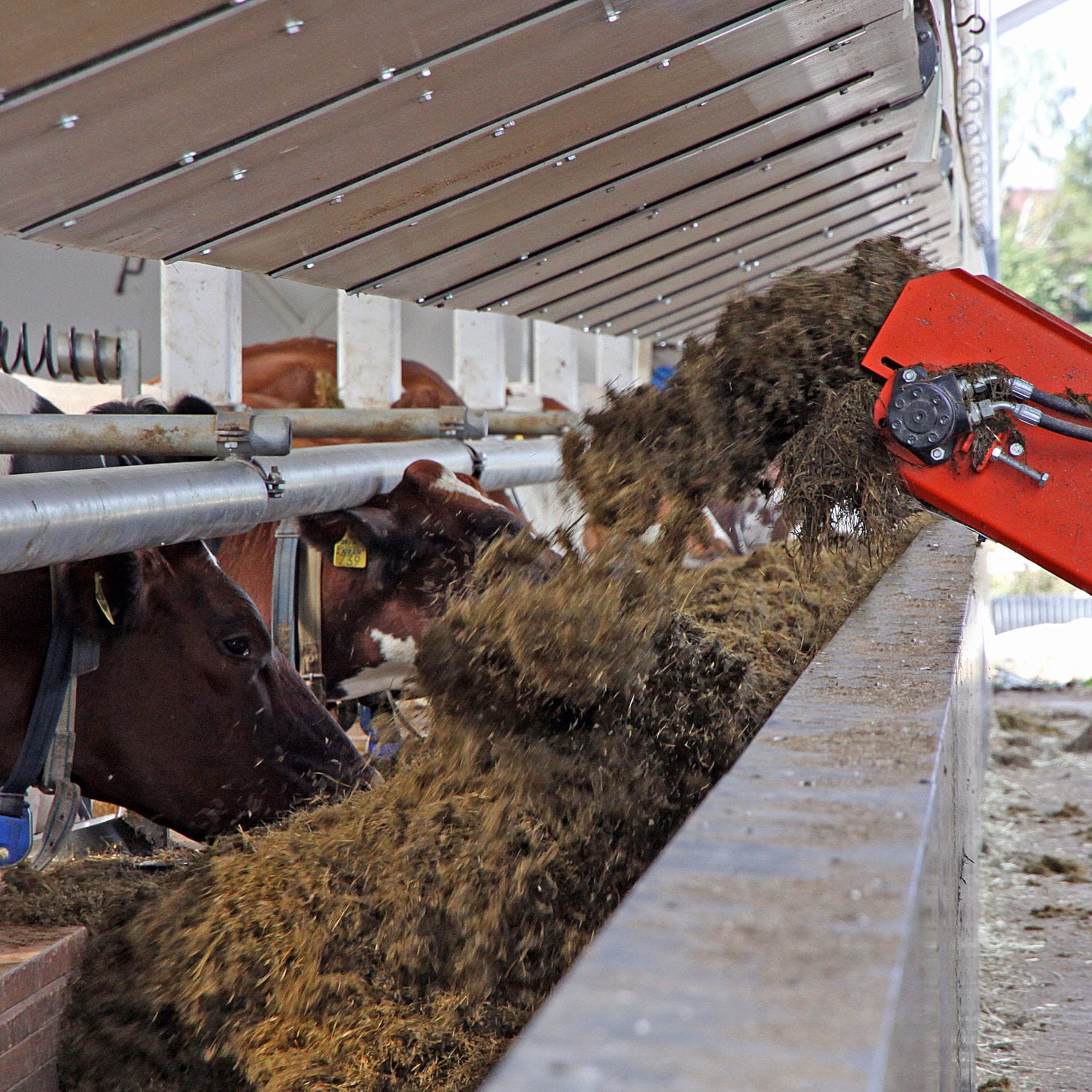 Cattle trough - Feedwall - Cowhouse International bv - multi-access ...