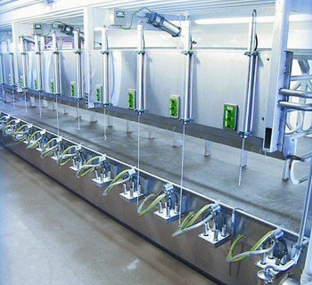 Cow milking parlour - Daritech, Inc. - parallel / rapid exit