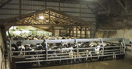 Electrically-actuated crowd gate - Daritech, Inc.