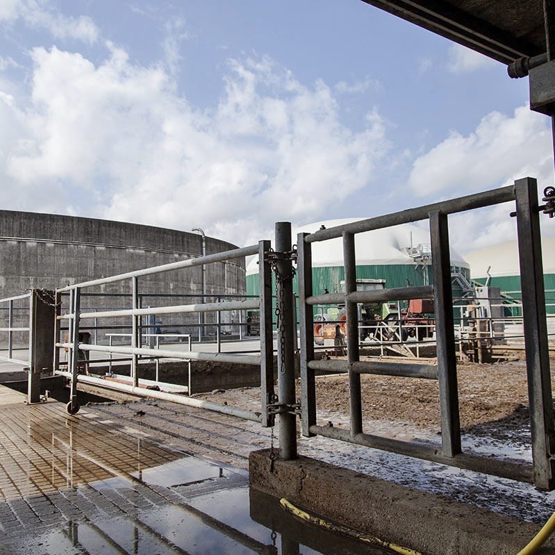 Livestock gate - DUE A s.r.l. - stable / for cows / for calves