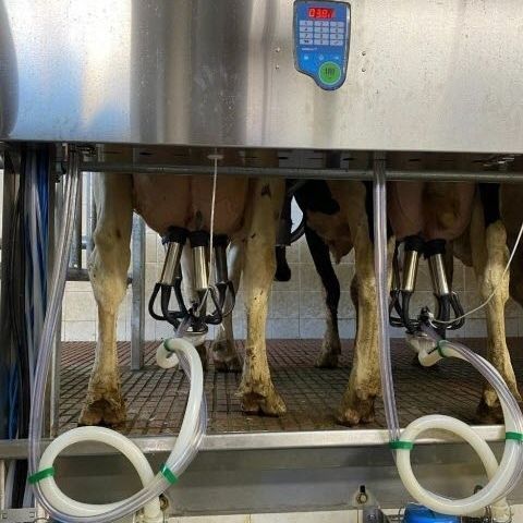 Yield milk meter - 0800 - ELMEGA, S.L. - electronic