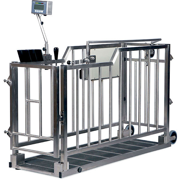 Calf scale - Förster-Technik GmbH - electronic / battery-powered / mobile
