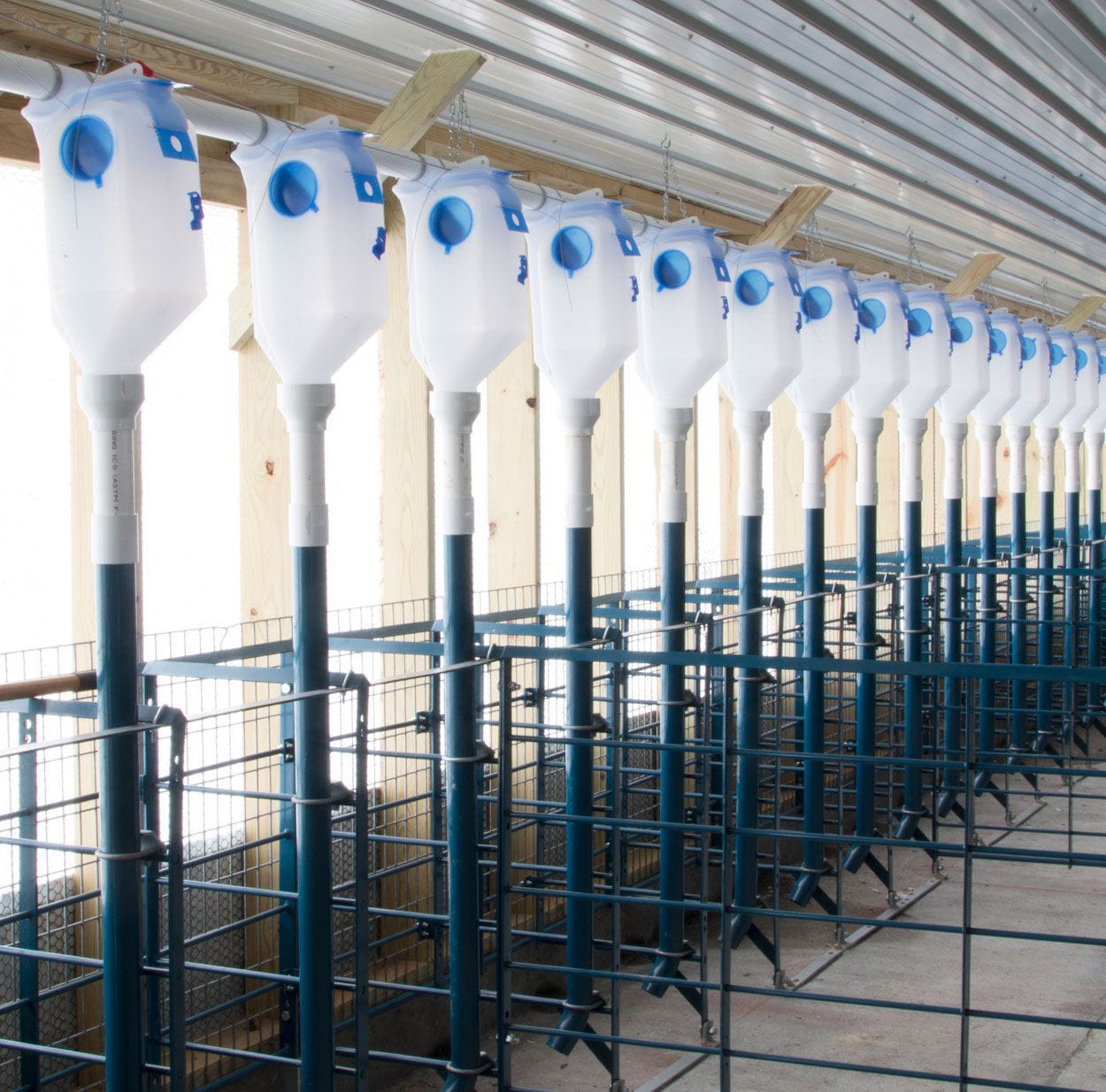 Sow feeder - Hog Slat - plastic / stainless steel / multi-access