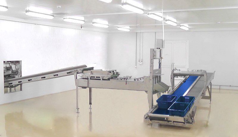 Chick transport box - Innovatec Hatchery Automation