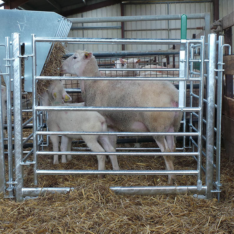 Livestock gate - OV3709 - JOURDAIN - stable / for sheep / metal
