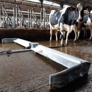 Chain manure scraper - Multi - JOZ b.v. - rope / straight / rubber