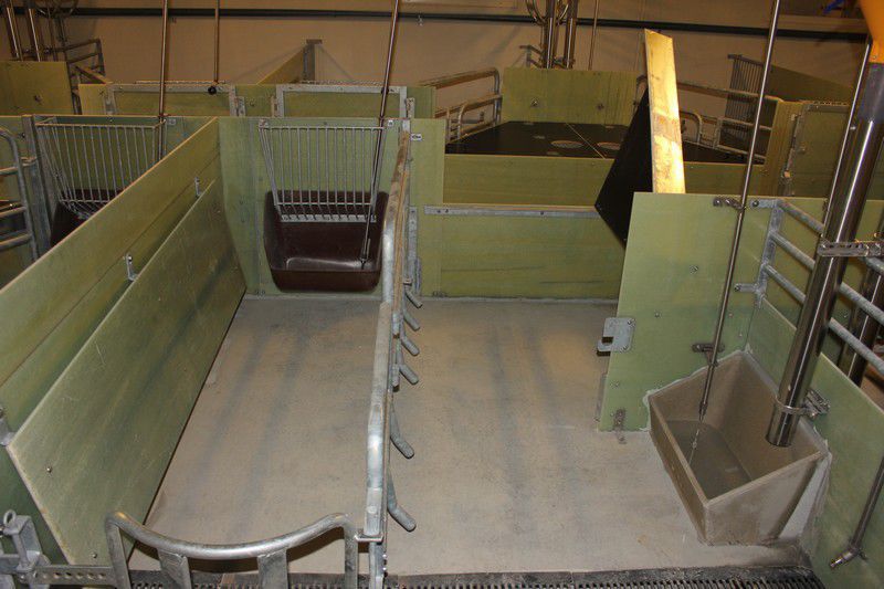 Slatted floor farrowing stall - JLF10 SWAP - Skiold
