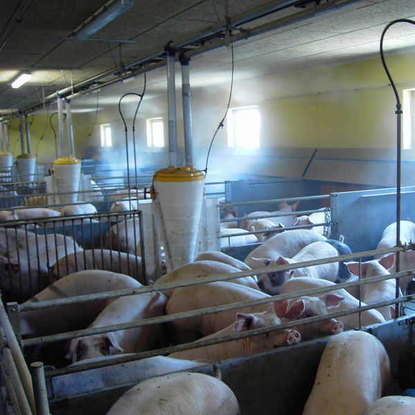 Pig barn air conditioning unit - Skiold - water spray
