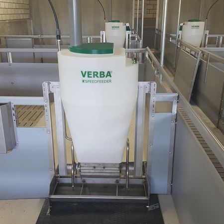 Pig hopper feeder - VERBA - stainless steel / with drinking nipples