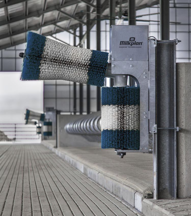 Livestock comfort brush - MILKPLAN S.A. - rotating / cows / vertical