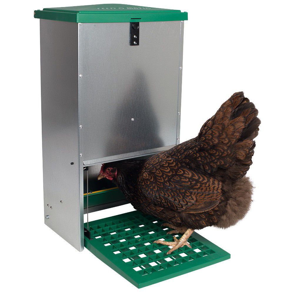 Poultry hopper feeder - AF20F - Olba B.V. - plastic / automatic