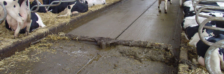 Rope manure scraper - PKSF - PETER PRINZING GmbH - straight / rubber ...