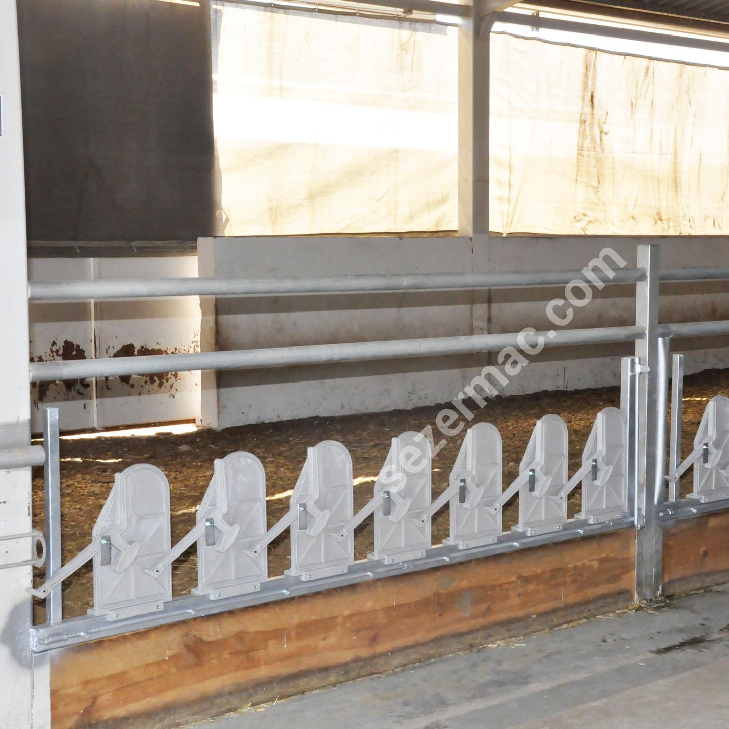 Goat headlock - HYKB-4 - SEZER TARIM ve Sagim Teknolojileri San. ve Tic ...