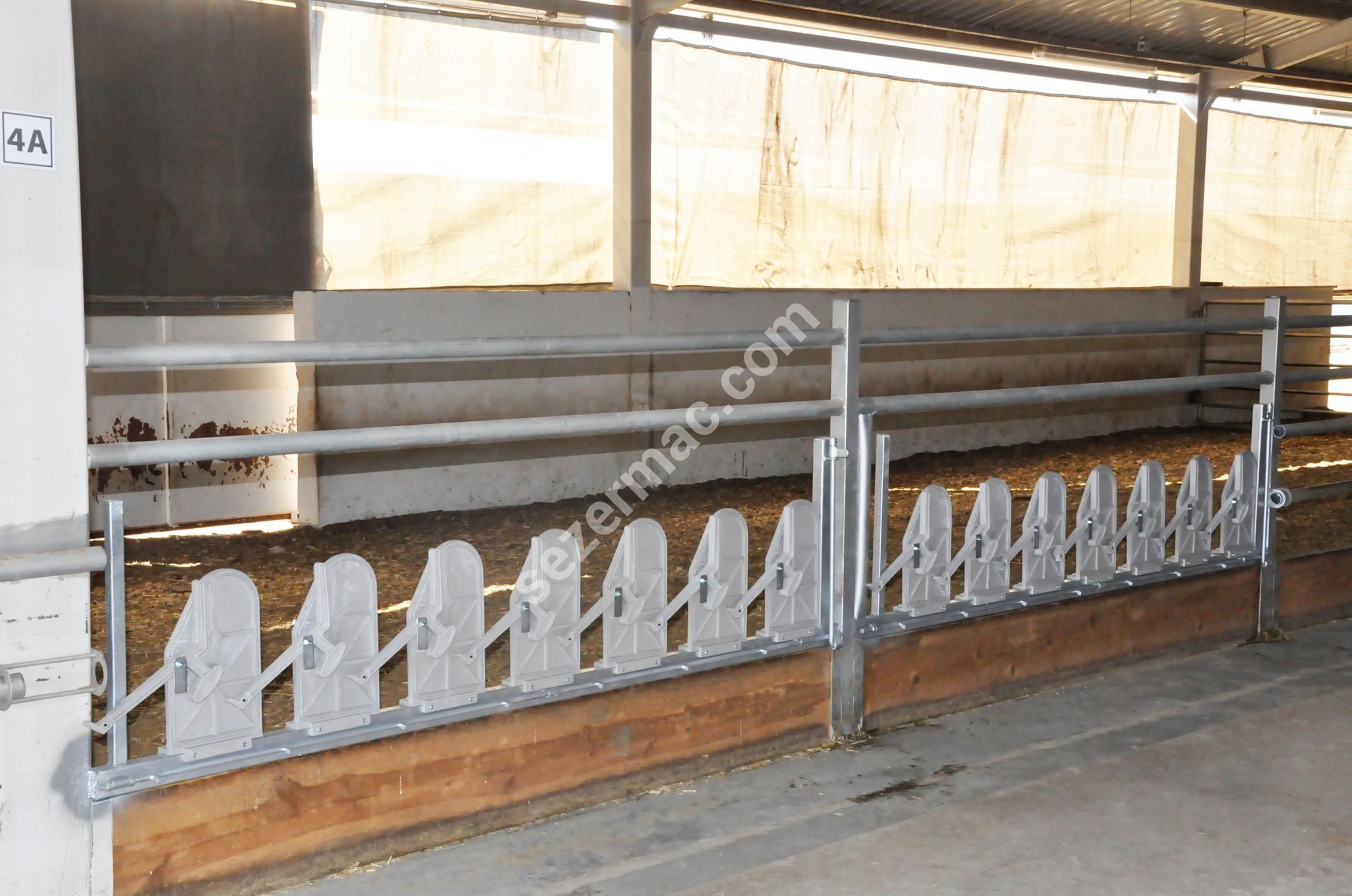 Goat headlock - HYKB-4 - SEZER TARIM ve Sagim Teknolojileri San. ve Tic ...