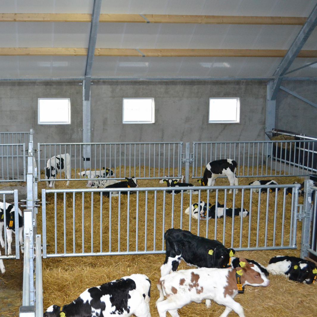 Livestock gate - Partition barriers - Spinder Dairy Housing Concepts ...