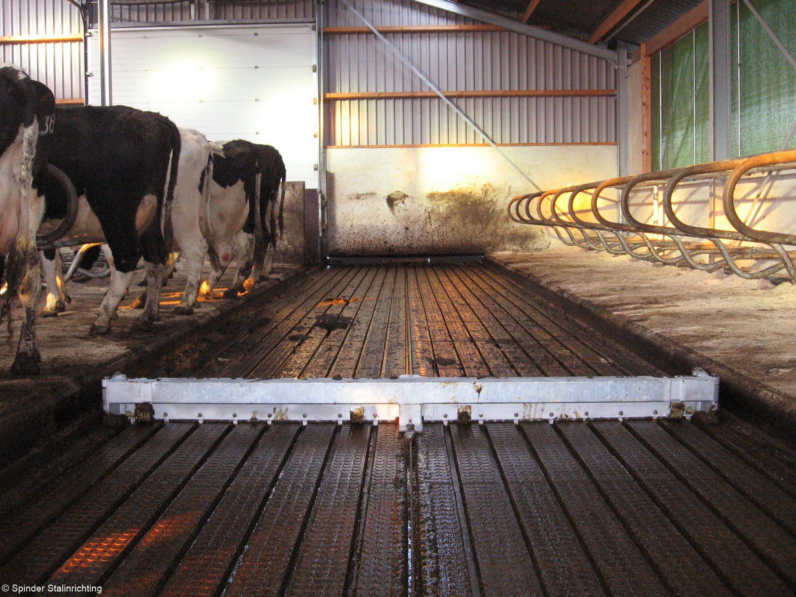 Rope manure scraper - CombiScraper Slotted Floor - Spinder Dairy ...