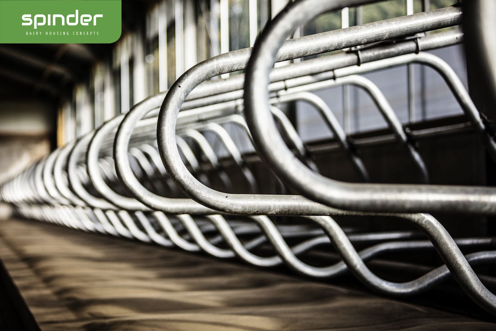 Cow cubicle - Profit - Spinder Dairy Housing Concepts