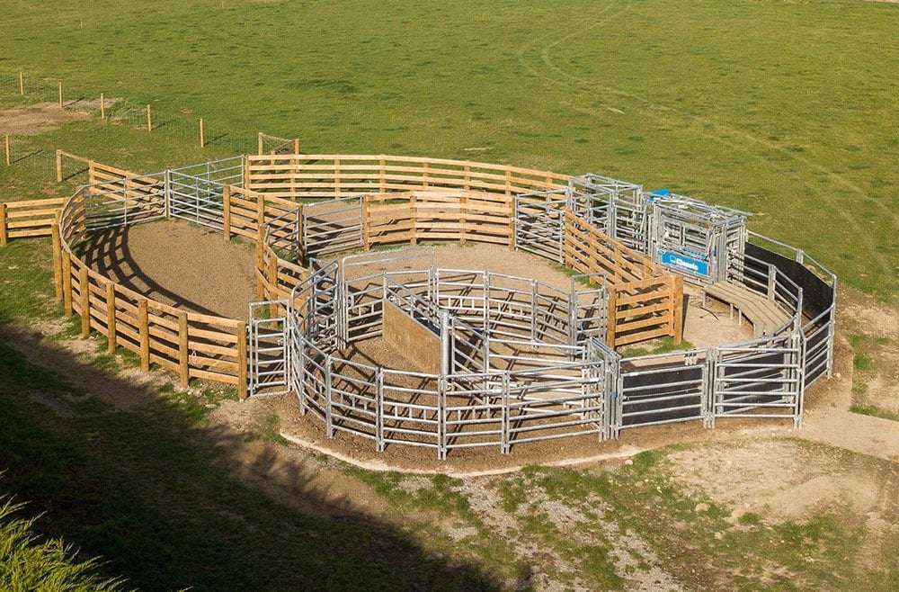 Automatic livestock handling system - HYBRID - Te Pari Products Ltd ...