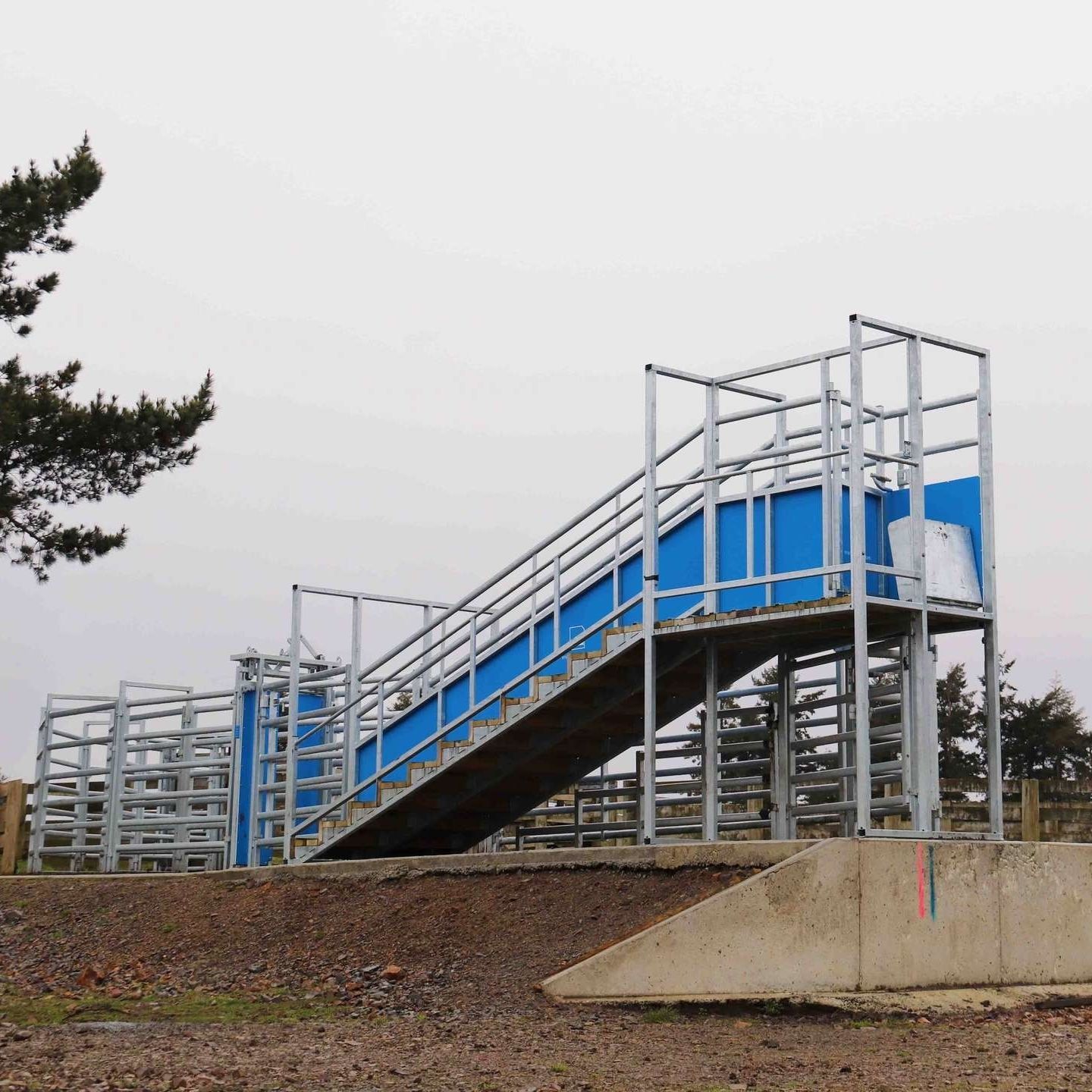 Cattle loading ramp - Te Pari Products Ltd.