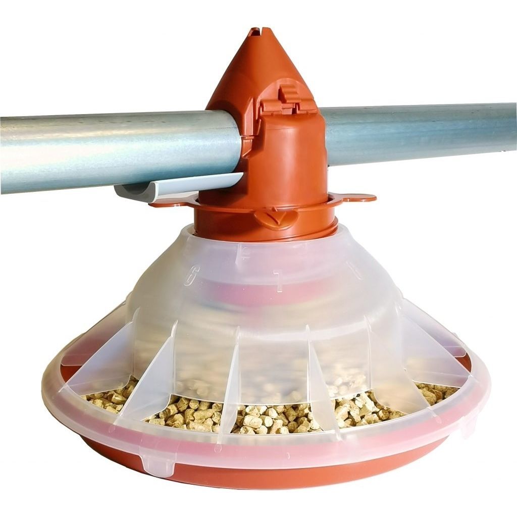 Poultry feeding equipement - ACCES para broilers - TIGSA - chain ...
