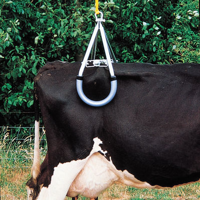 Cow lift - VINK ELST B.V.