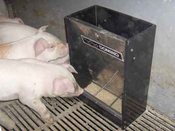 Piglet trough - Mini 3 - W. DOMINO A/S - polyethylene / stainless steel