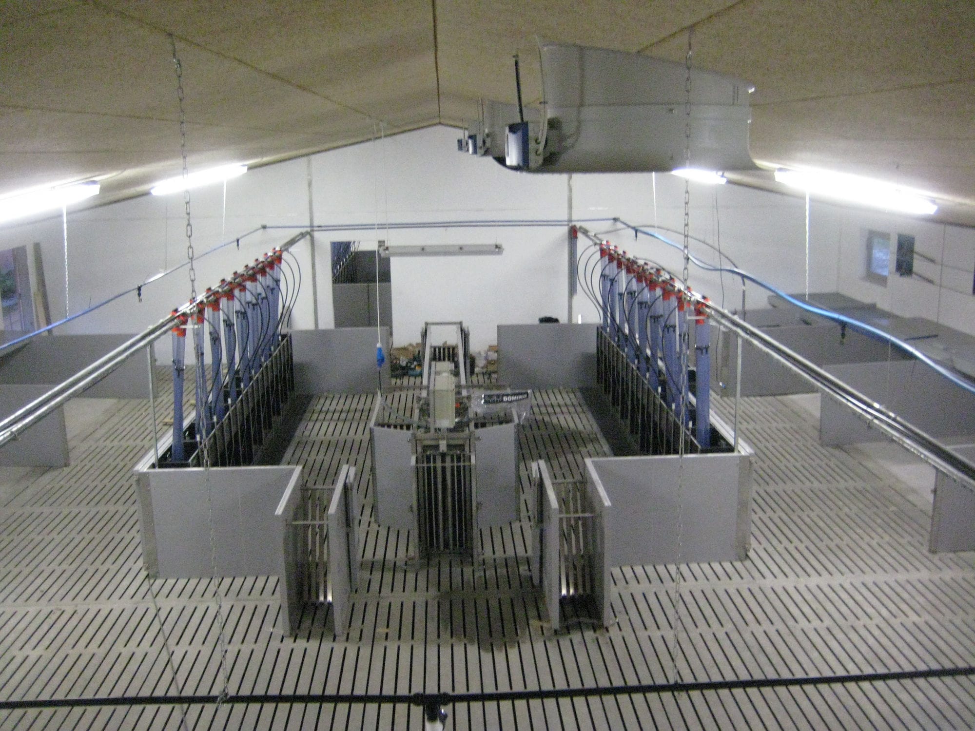 Pig sorting gate - W. DOMINO A/S - automated