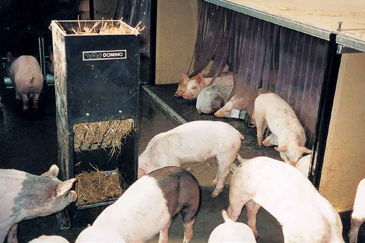 Feed dispenser - Halma - W. DOMINO A/S - for pigs