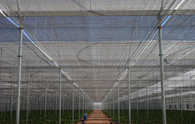 Climate-control screen system - Aluminet IC100 - Ginegar Plastic Inc ...