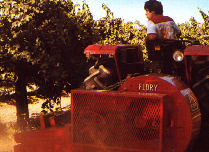 Mounted leaf blower - 2500 - Flory Industries