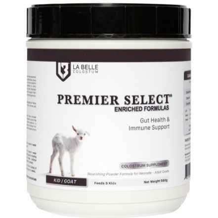 Goat colostrum replacer - PREMIER SELECT - La Belle Colostrum - powder
