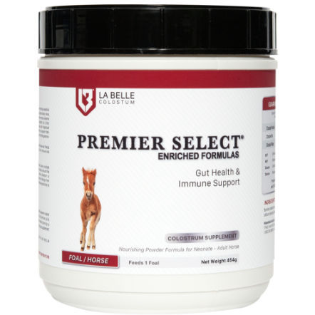 Horse colostrum replacer - PREMIER SELECT - La Belle Colostrum - powder